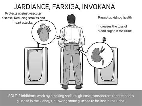 Diabetes Drugs A Short Story For Patients Part Ii My Endo Consult