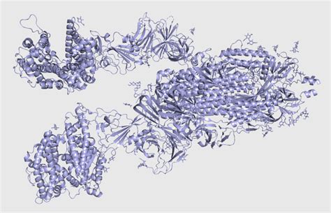超长序列，超快预测！深势科技联手阿里云，ai蛋白质预测再下一城 知乎