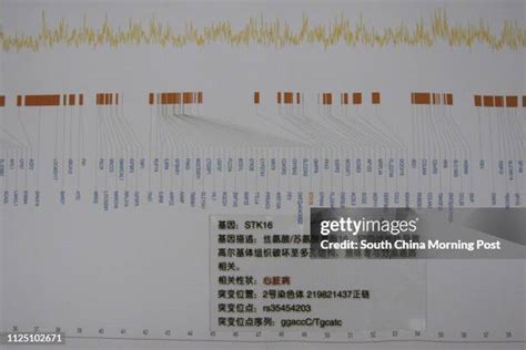 Beijing Genomics Institute Photos And Premium High Res Pictures Getty Images