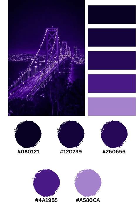 Purple Hex Codes Shades Of Light And Dark Purple