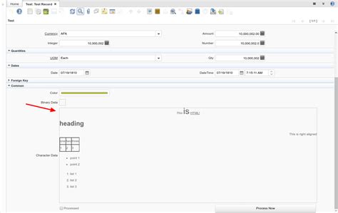 NF Inline HTML Field IDempiere En