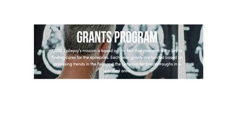 Cure Epilepsy Partnership Grant For Dup15q Dup15q Alliance
