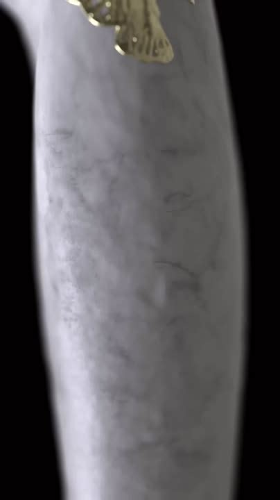 Houdinischool On Linkedin Houdini Sidefx Simulated