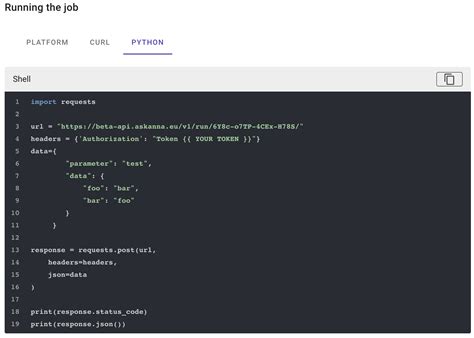 run a job askanna documentation