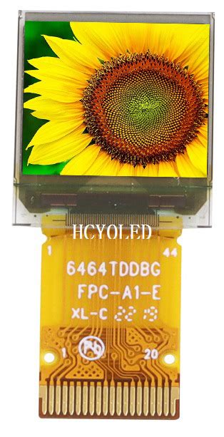 Compact Color 06 Inch Oled Display Oled Panel For Healthcare Portable