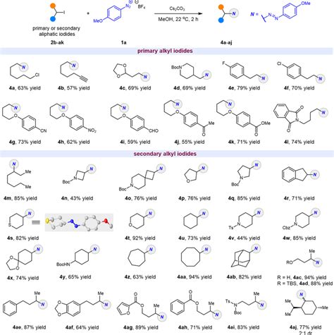 Substrate Scope Of Primary And Secondary Alkyl Iodides Reaction Download Scientific Diagram
