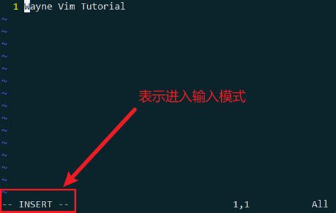 Linux Vim操作看这篇文章就够了 知微之见 博客园