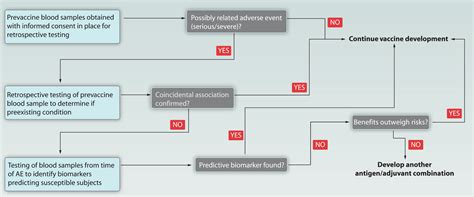 Assessing The Safety Of Adjuvanted Vaccines Science Translational