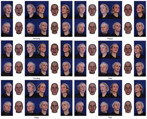 sensors free full text three dimensional face reconstruction using multi view based bilinear