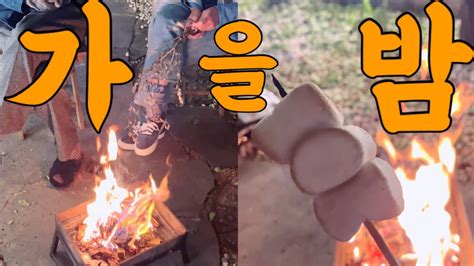 가을에 태어난~🎶사랑하는 불혹 이제이🧡 생일 주간 1탄 도심 불멍 🔥 술멍 🍺 Youtube