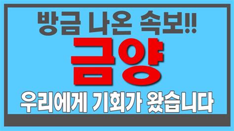 주식 금양 방금 나온 속보우리에게 기회가 왔습니다 Youtube