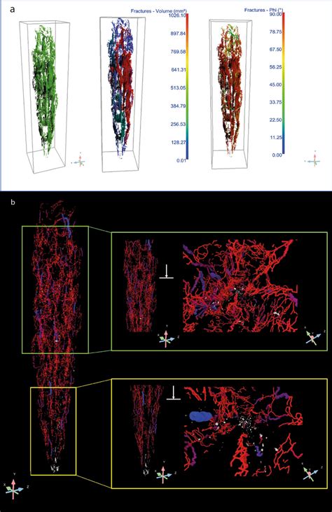 Fractures Characterization By X Ray Microscopy A Segmented Fractures