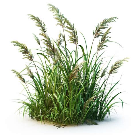 Rohan Smith On Linkedin Ai Again Saved The Day I Was Helping My Son