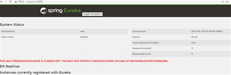 关于rviceurl 地址问题。 · Issue 4893 · Apolloconfigapollo · Github