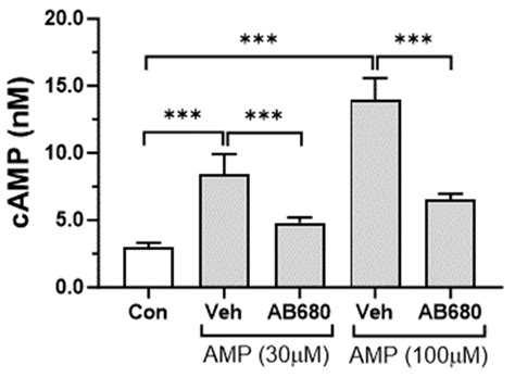 Inhibition Of Vascular Smooth Muscle Cell Proliferation By Enpp1 The