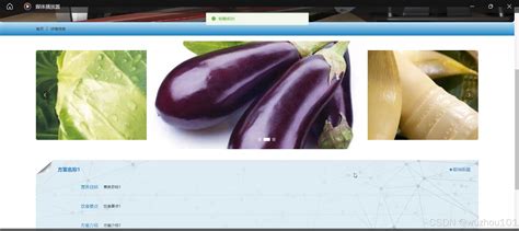 基于ssmvue学生健康管理系统【开题程序论文】 计算机毕业设计 Csdn博客