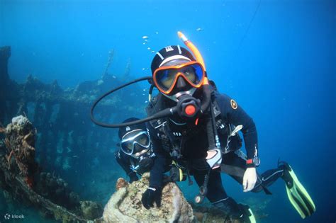 Jeju Island Scuba Diving Experience Klook Singapore