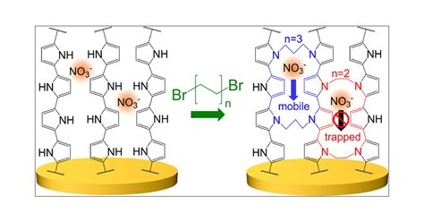 Effects Of Interchain Crosslinking By Alkyl Dihalides On The