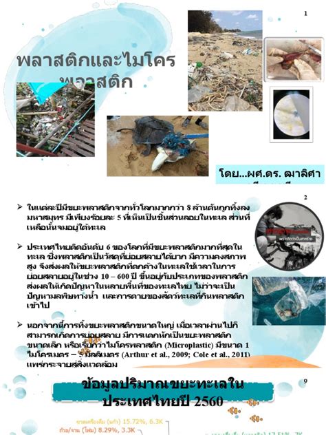 Microplastic 3 Pdf