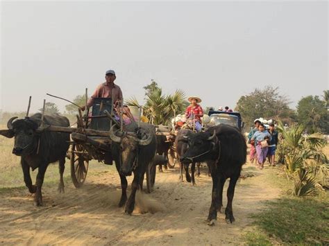 ခင်ဦး၊ ယာတော်ရွာကို စစ်တပ်က ပစ်ခတ် စီးနင်းပြီး နေအိမ်များကို မီးရှို့ဖျက်ဆီး၊ ကျေးရွာ ၈ ရွာကျော