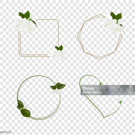 투명도 배경에 고립 된 아름다운 흰색 재스민 꽃 벡터 텍스트 프레임을 장식하기위한 삽화 배너 또는 결혼식 초대 카드 어머니의 날