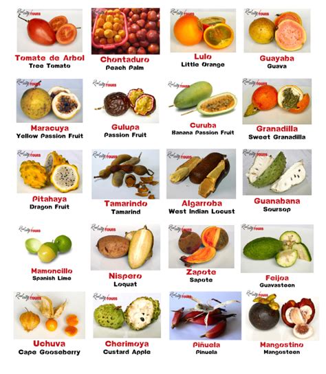 Medellin Exotic Fruit Tour