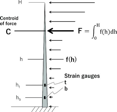 Schema For The Wind Force Acting On A Tree Wind Force Has A Download Scientific Diagram