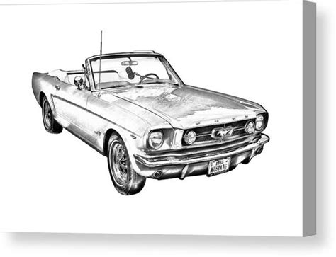 1967 Ford Mustang Drawings