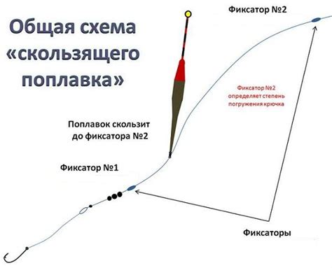 Снасть на сазана: собираем 7 видов самых популярных оснасток