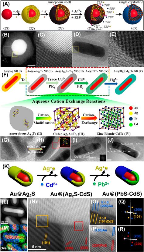 Frontiers Interfacial Regulation Of Aqueous Synthesized Metal