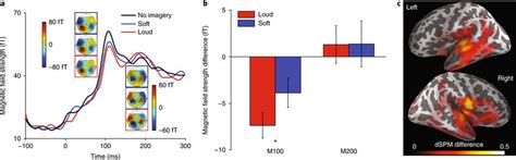 Neural Adaptation Results In The Meg Experiment A Response And Download Scientific Diagram