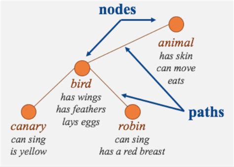 Topic Semantic Memory Flashcards Quizlet