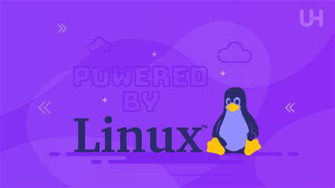 Fedora Vs CentOS Which Linux Distribution To Choose UltaHost Blog