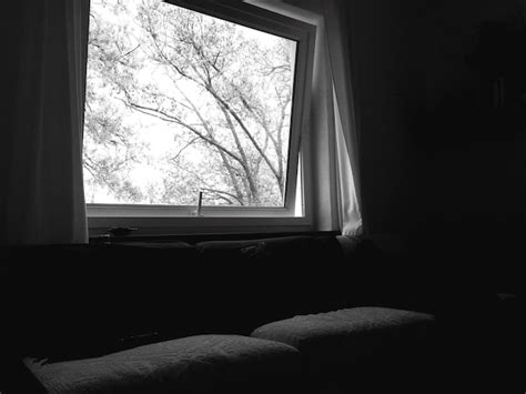 Premium Photo Trees Seen Through Window In Room