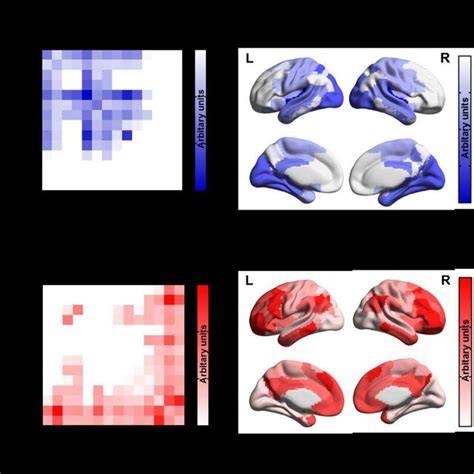 The Difference Of Synchrony Between Rsns In Resting State And Different