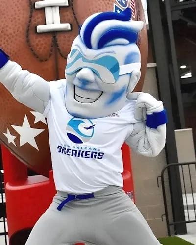 Your Winning Custom Sports Mascot Costumes Loonie Times
