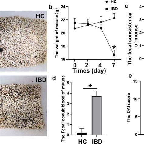 Dss Induced Acute Colitis Mouse Model A D Body Weight Fecal Download Scientific Diagram