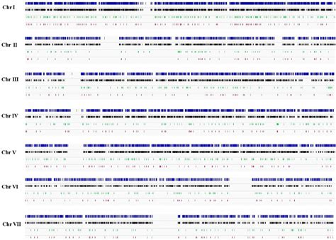 Genomic Distribution Of Annotated And Lncrna Transcripts Annotated Download Scientific Diagram