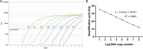 Analytical And Clinical Evaluation Of A Taqman Real Time Pcr Assay For