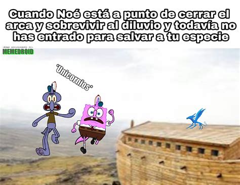Memes El Arca De Noe