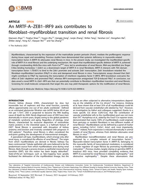 Pdf An Mrtf A Zeb1 Irf9 Axis Contributes To Fibroblast Myofibroblast Transition And Renal Fibrosis