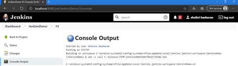 Running Selenium Tests In Jenkins