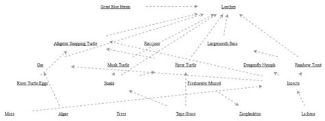 Fsrc Food Web Insight Maker