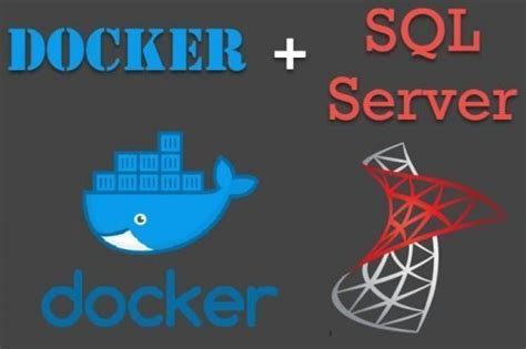 Sql Server How To Get Started With Docker Containers With Latest Sql
