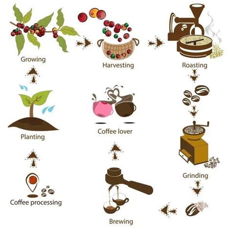 Gourmet Coffee Beans Explore The World Of Specialty Coffee Coffee