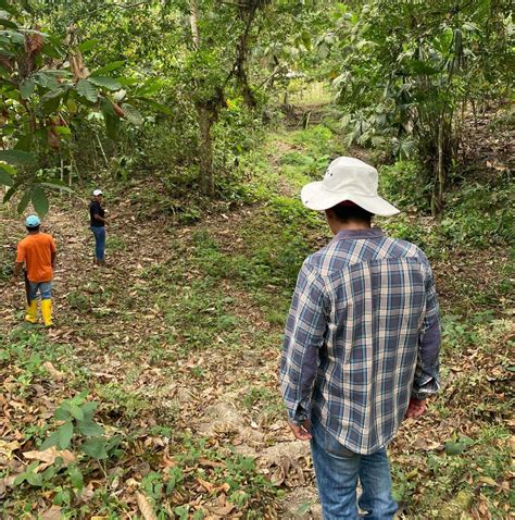 What The Global Cocoa Crisis Means For You Grocers Daughter Chocolate