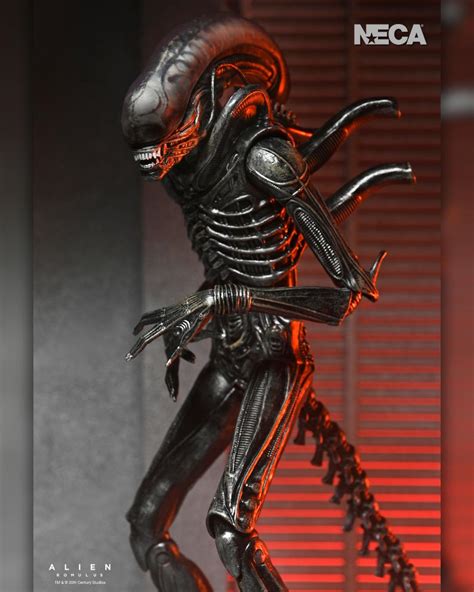 Alien Romulus Neca Xenomorph Xx121 Figure The Toyark News