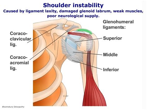 Shoulder Instability Shop04 Bloomsbury Health Centre