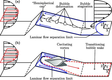 Sketch Of The Patch Cavitation Process With The Bubble Ascent A With Download Scientific