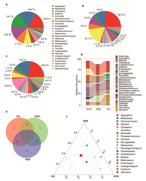 Metatranscriptomic Analysis Reveals Disordered Alterations in ...